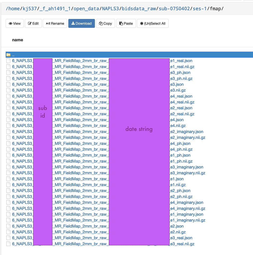 _e3 and _e4 (as well as _e1 and _e2 and _ph) from Siemens fieldmaps ...
