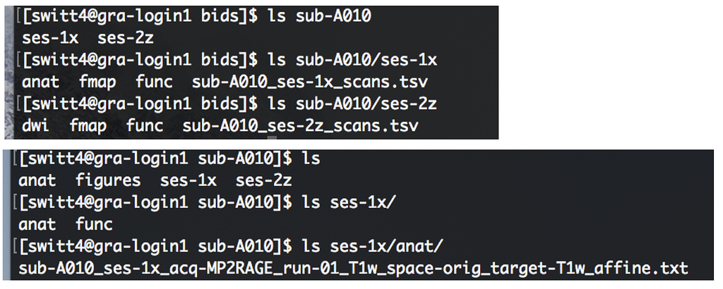Fmriprep output directory structure problem - fmriprep - Neurostars