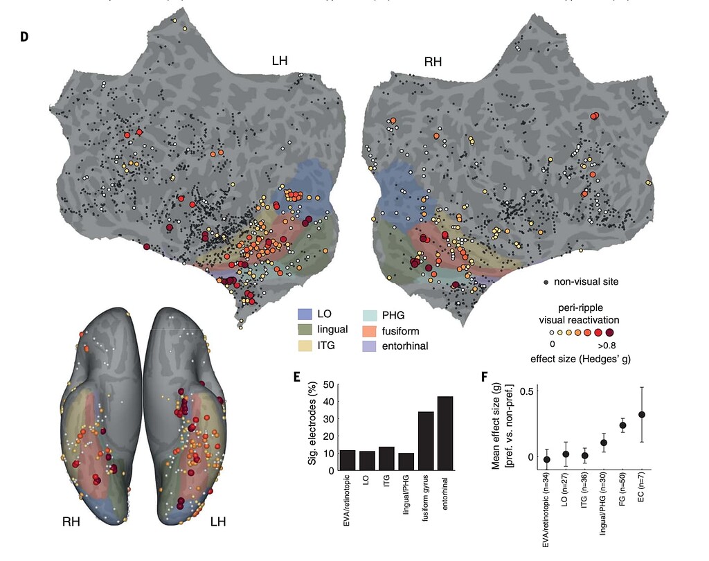 How to plot foci on flat plot of surface? - Neurostars