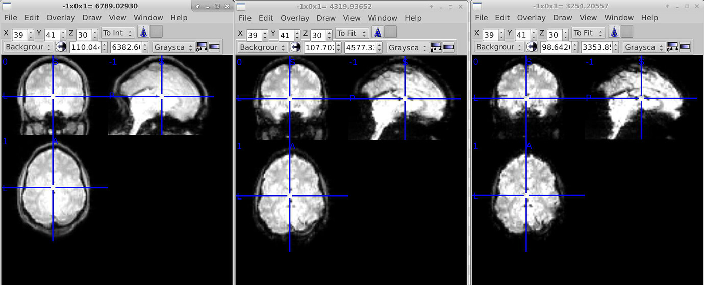 Preprocessing multi-echo fMRI data by fmriprep amd Tedana - tedana - Neurostars
