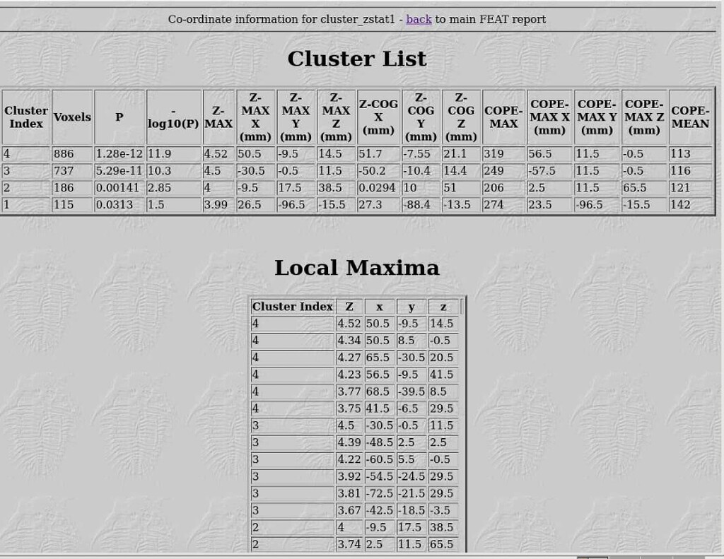 FSL higher level cluster Z-MAX and local Maxima locations x/y/z is in 0.5 (with fmriprep output ...