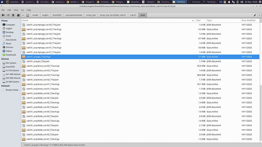RuntimeError: Input inhomogeneity-corrected data seems empty with MRIQC ...