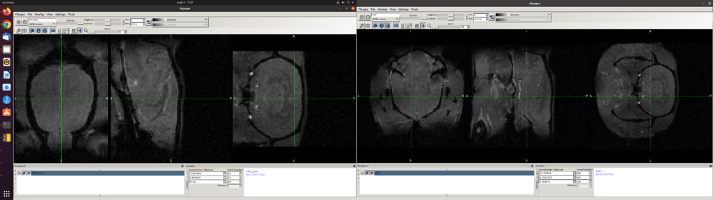 Slicing the images and mask in rbm (rodent brain-mask segmentation) and ...