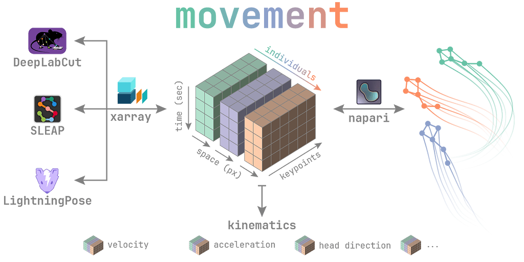 Announcing Movement A New Package For The Analysis Of Body Movements In Neuroscience