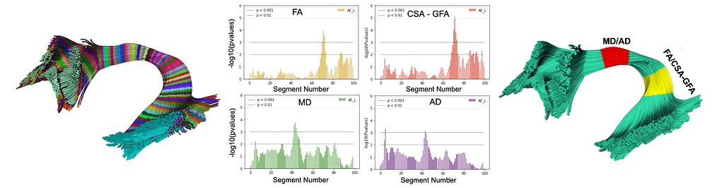 DIPY: BUndle ANalytics (BUAN) Paper Talk - Announcements - Neurostars