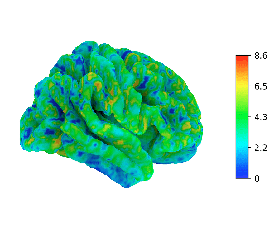 How to best plot voxel-based data from Python on a brain surface? - Software Support - Neurostars