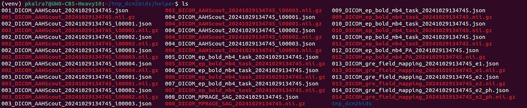 Dcm2bids config fmap pairing problems - Software Support - Neurostars